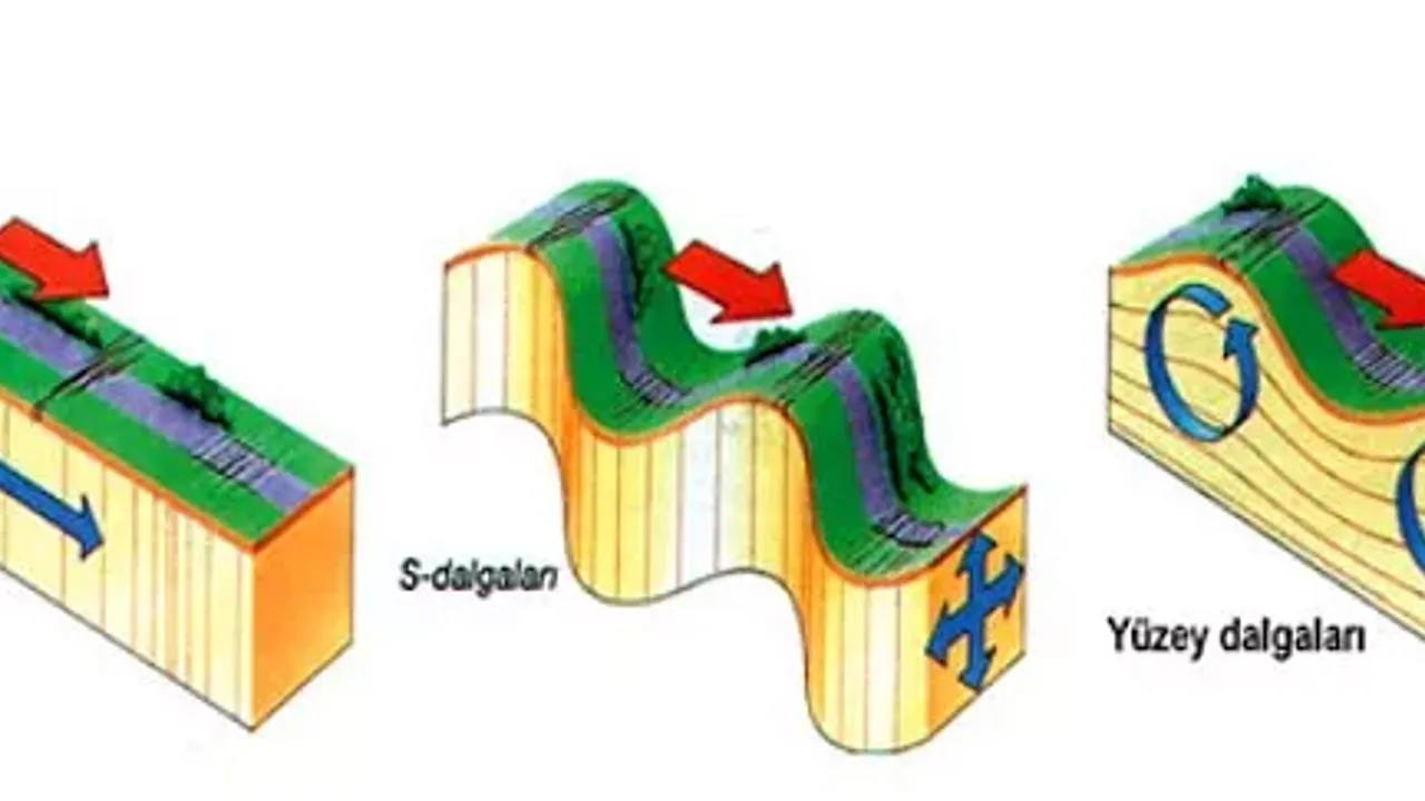 Sismik Deprem Dalgaları Nelerdir? P ve S dalgaları nedir? P ve S dalgaları - Dokuz Eylül ...
