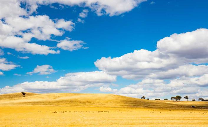 Türkiye’nin ovaları nelerdir? - Dokuz Eylül | Güncel İzmir Haberleri