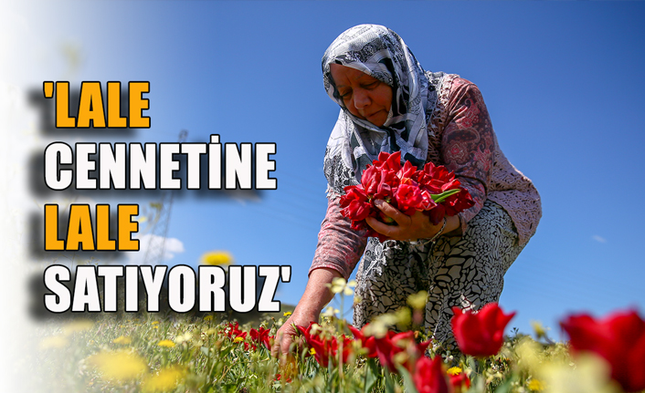 'Lale cennetine lale satıyoruz' - Dokuz Eylül - Güncel İzmir Haberleri