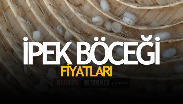 İpek böceği kozası kilo fiyatı 2023 İpek böceği fiyatları - Dokuz Eylül - Güncel İzmir Haberleri