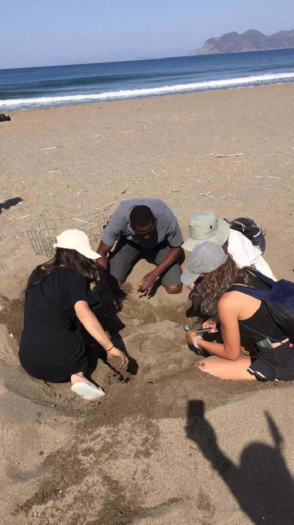 Prof. Dr. Kaska: Carettaları koruma uygulamasıyla dünyaya örnek ...