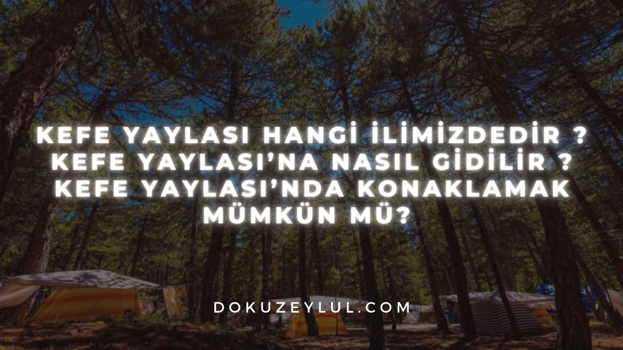 Kefe Yaylası hangi ilimizdedir ? Kefe Yaylası’na nasıl gidilir ? Kefe ...