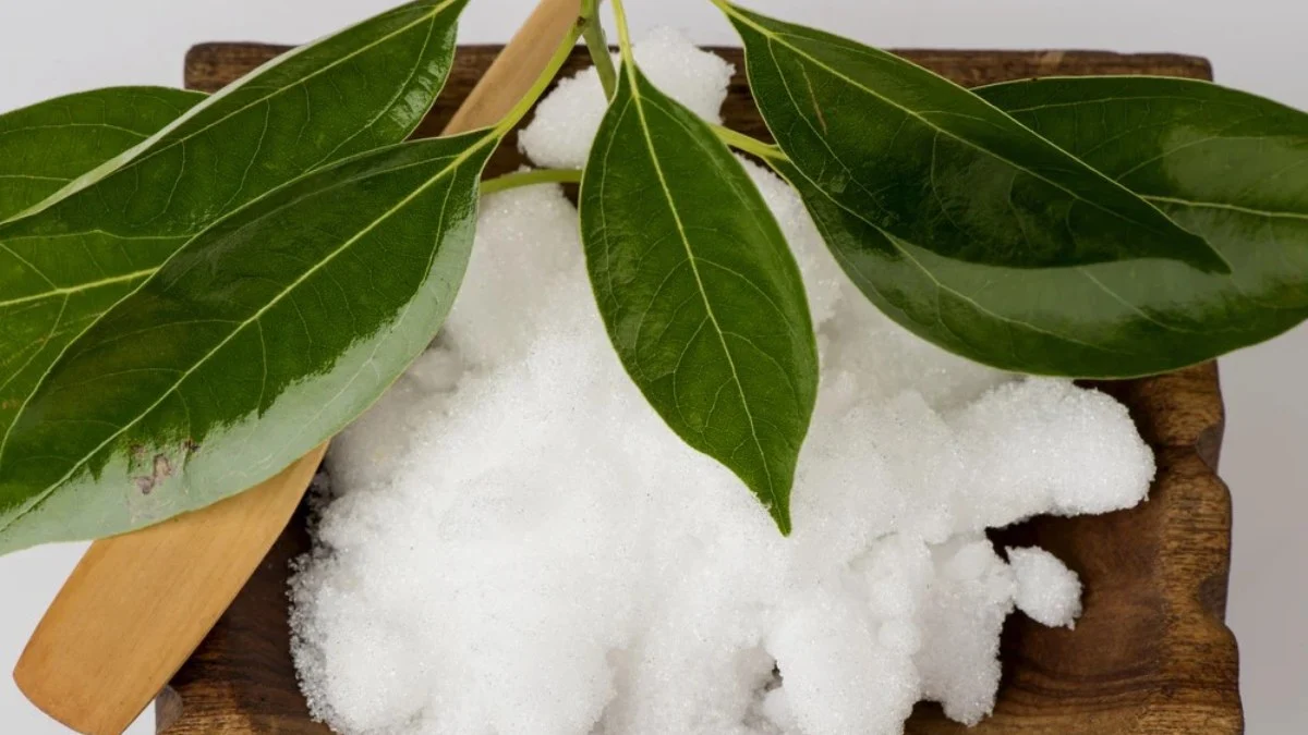 Kafur nedir? Cenazede kafur kullanımı, kafur tablet ne işe yarar ...